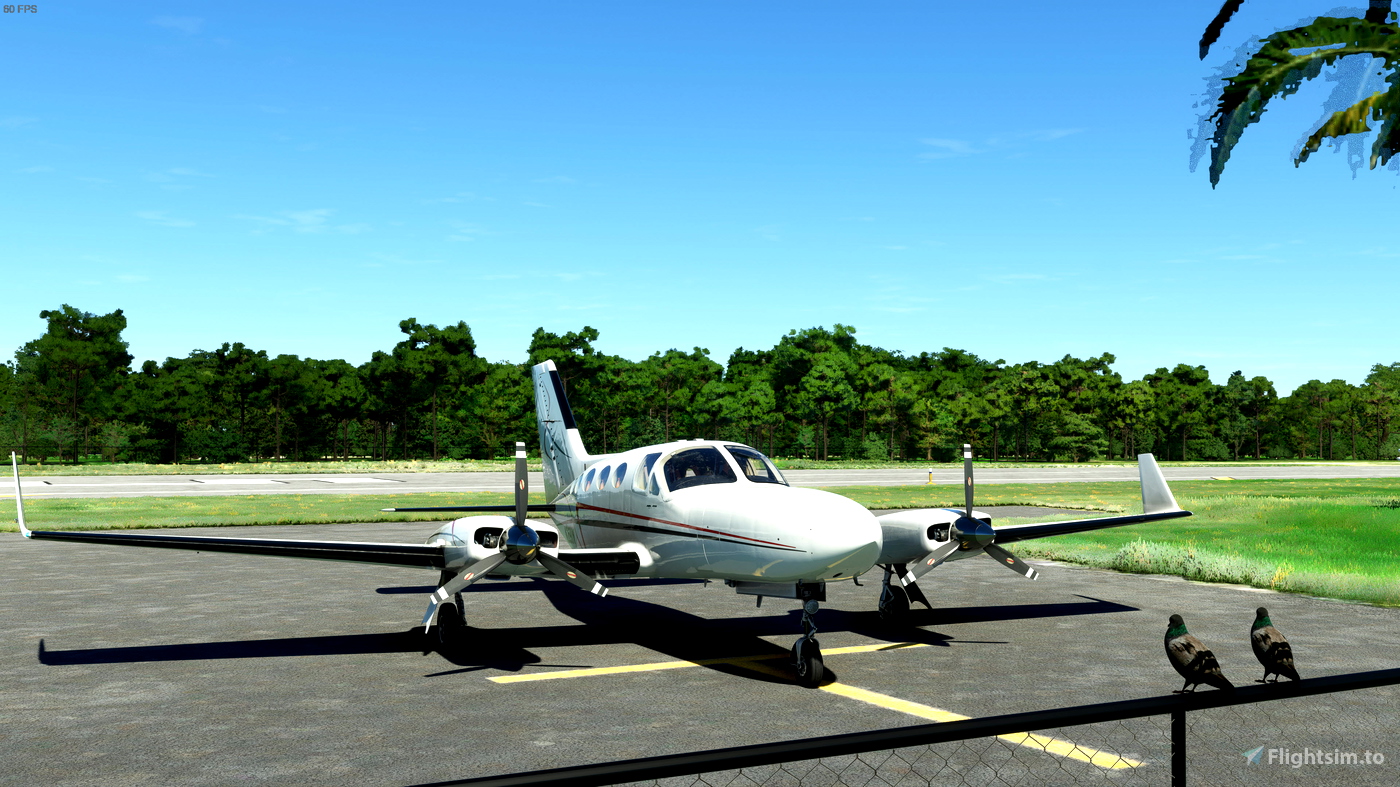 Flysimware Cessna 414AW Chancellor - N2690N for Microsoft Flight ...