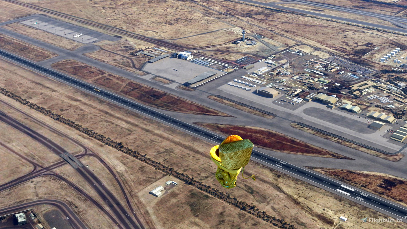 Golden Toilet livery for the Flying Toilet for Microsoft Flight ...