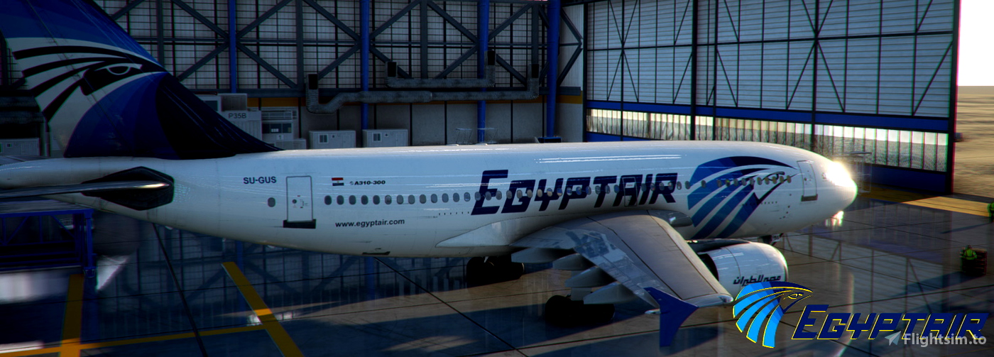 INI Simulations A310 Egyptair Two Pack: Cargo & Pax for Microsoft ...