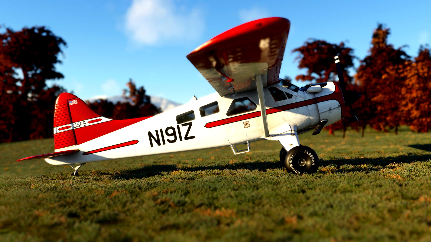 Liveries - Havilland DHC-2 Beaver Add-Ons for Microsoft Flight ...
