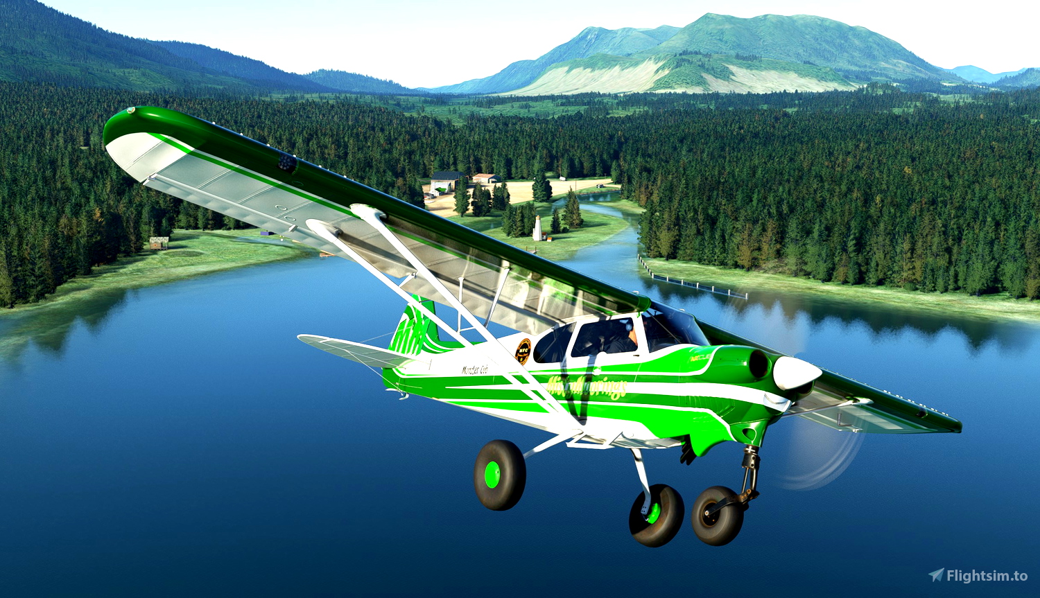 Liveries - CubCrafters NX Cub Add-Ons for Microsoft Flight Simulator ...