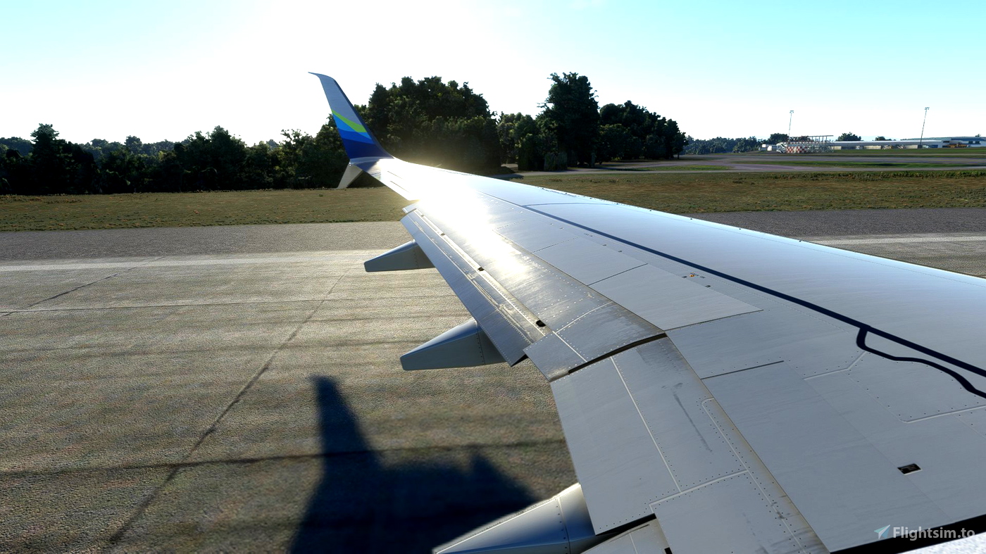 PDMG B737-800 Wing Views for Microsoft Flight Simulator | MSFS