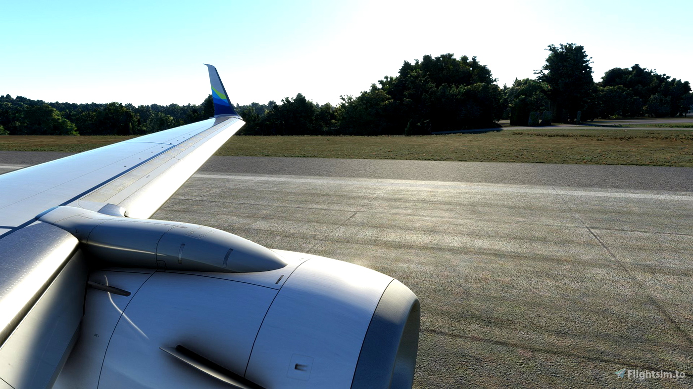 PDMG B737-800 Wing Views for Microsoft Flight Simulator | MSFS