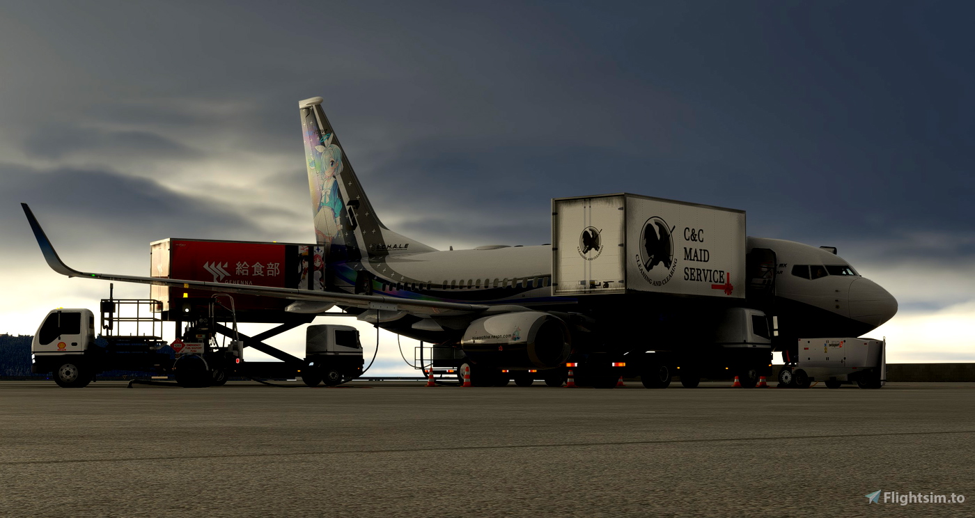 PMDG 737-700 BBJ BLUE ARCHIVE (FICTIONAL) for Microsoft Flight ...