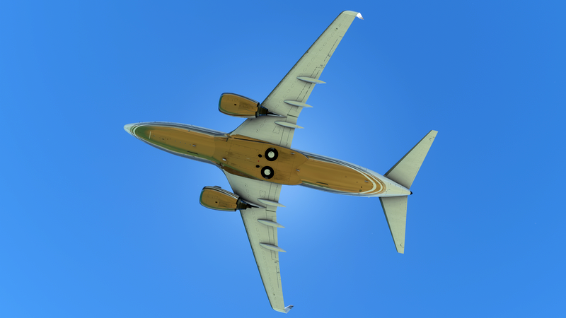 PMDG 737-700BBJ N324CH LLC for Microsoft Flight Simulator | MSFS