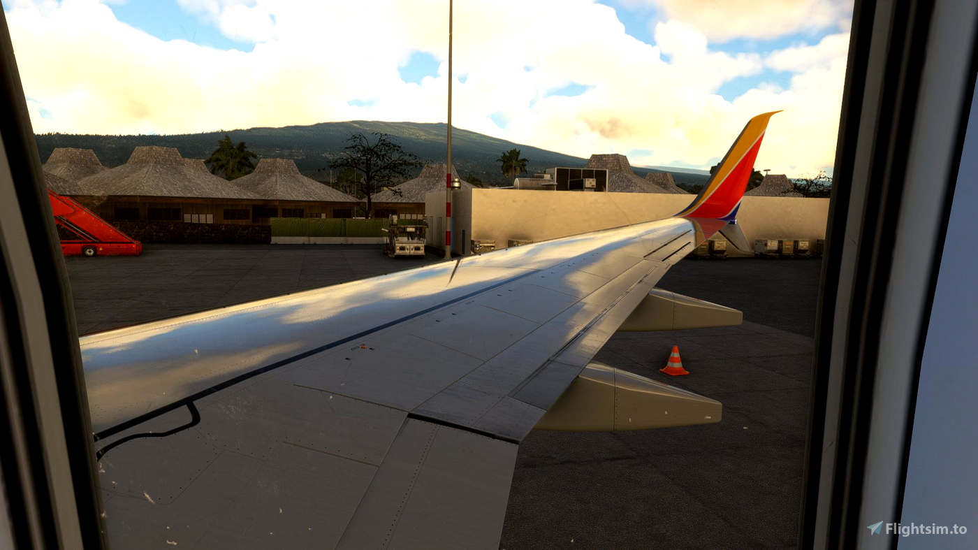 PMDG 737-800 Custom Views for Microsoft Flight Simulator | MSFS