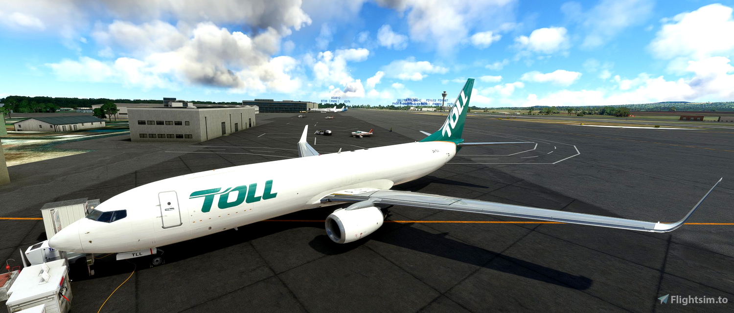 Liveries - PMDG Boeing 737-800 Add-Ons for Microsoft Flight Simulator ...