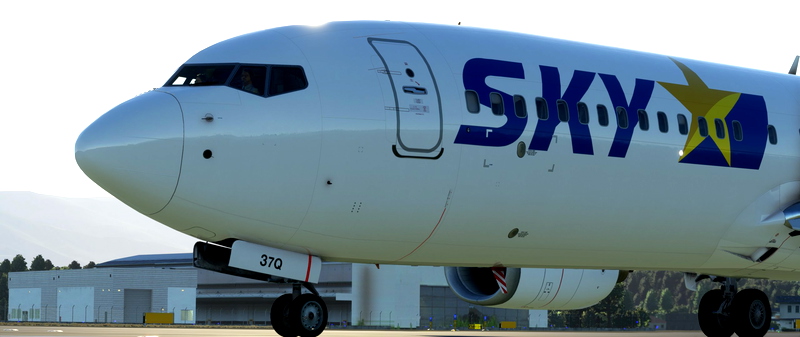SKYMARK 737 Fleet for Microsoft Flight Simulator | MSFS