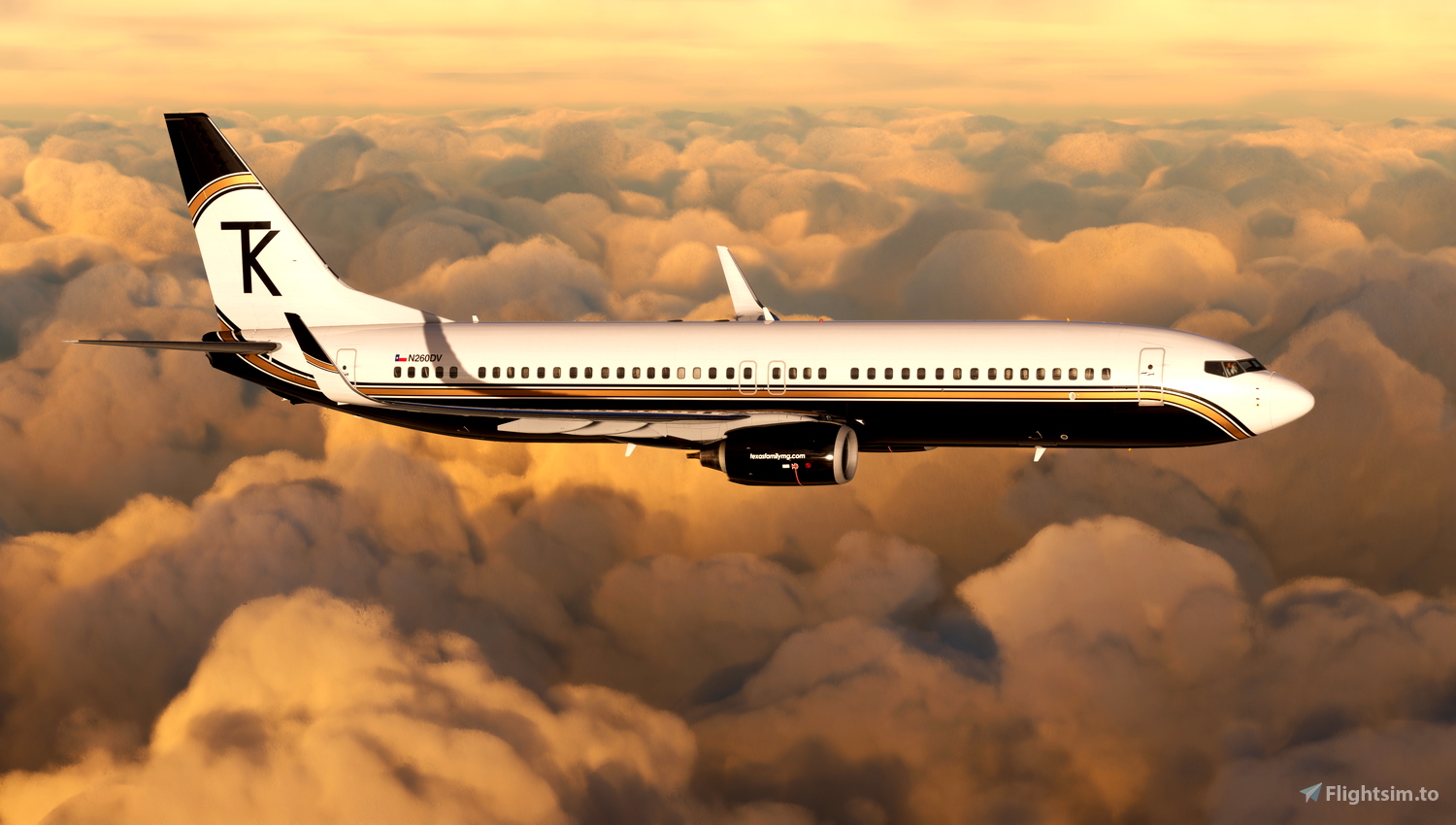 PMDG Boeing 737-800 Liveries for Microsoft Flight Simulator | MSFS ...