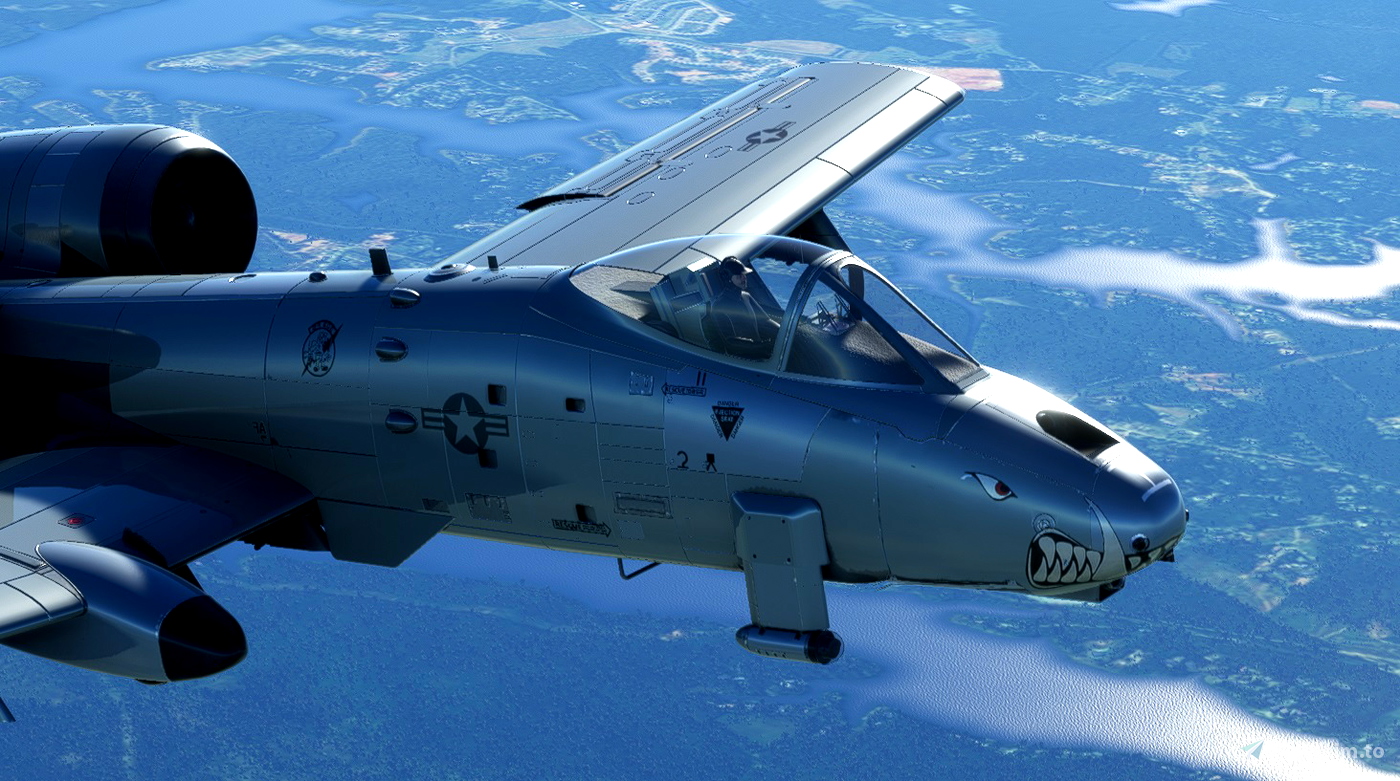 The scheme of the 79093 from 303rd FS for Mscenery A-10 for Microsoft ...