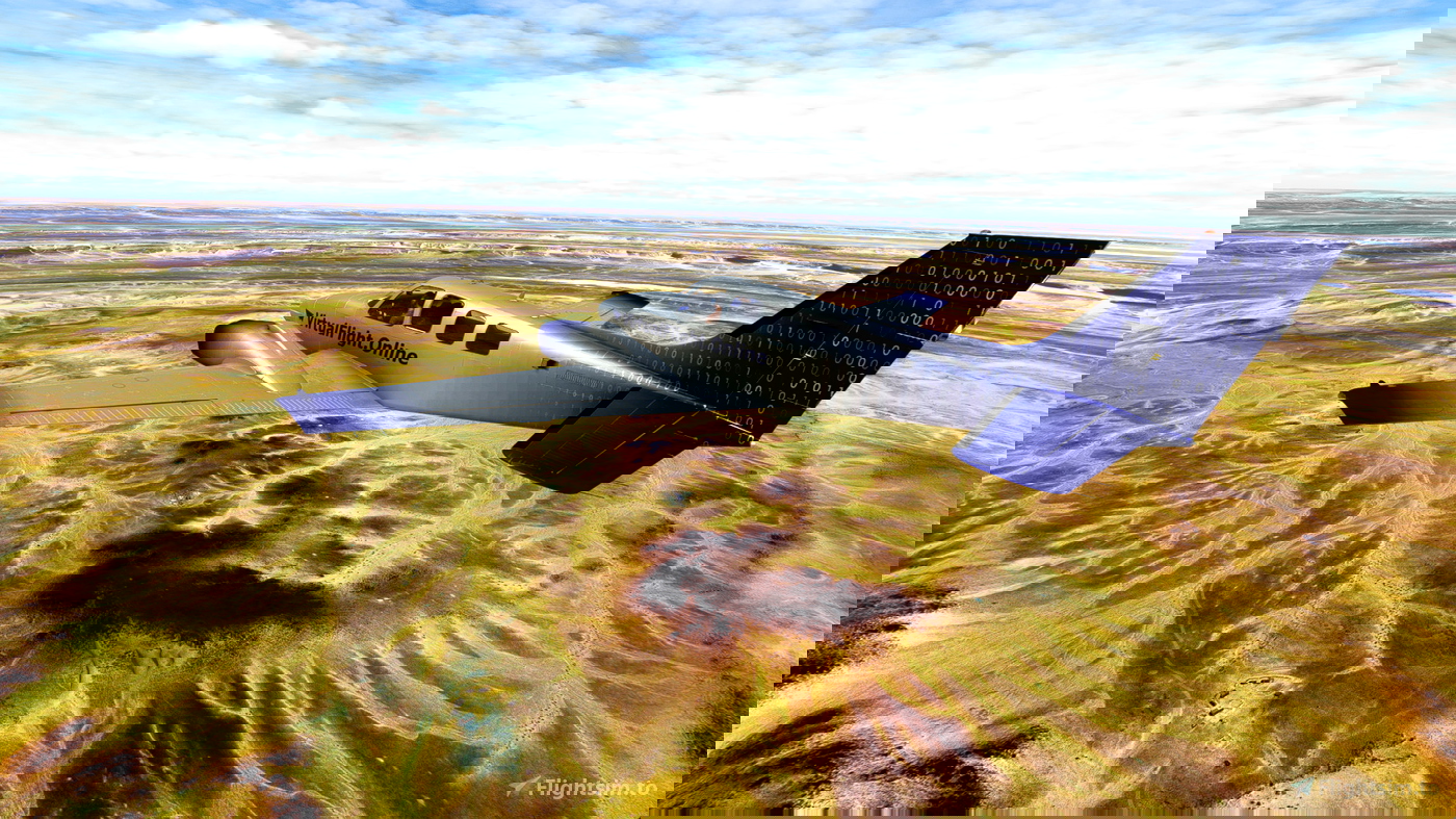 Black Square Analog Baron G58 - VirtualFlight Online Livery Pack for ...