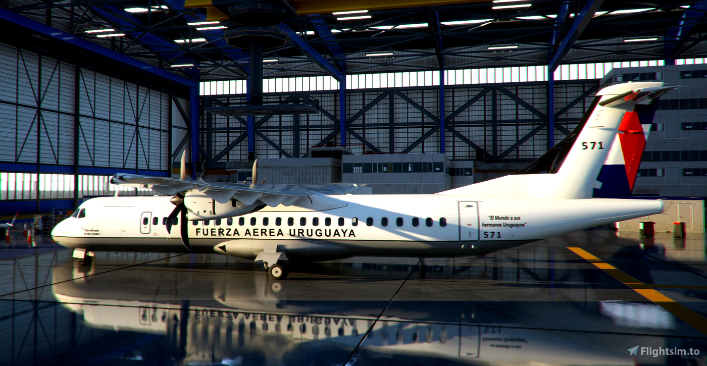 FAU571 Miracle in the Andes - flight 571 (fictional) ATR72 Fuerza Aérea ...