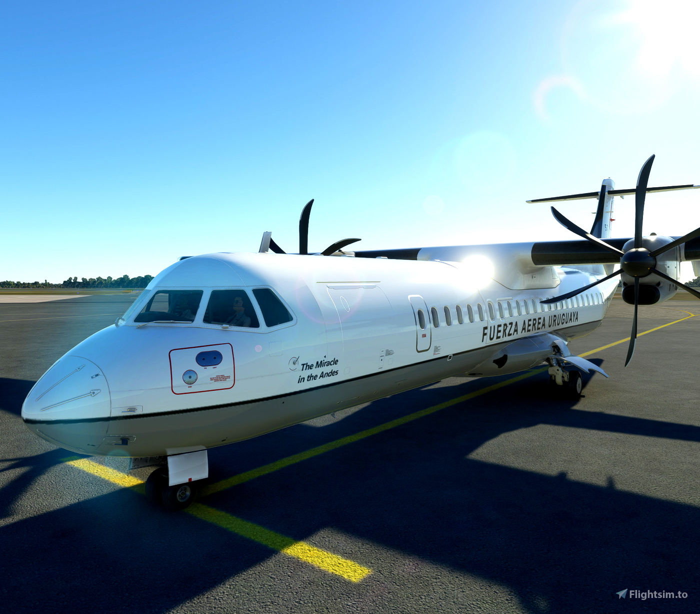 FAU571 Miracle in the Andes - flight 571 (fictional) ATR72 Fuerza Aérea ...