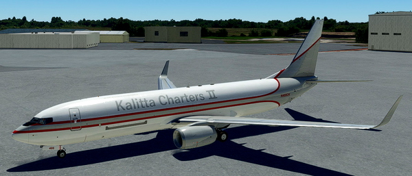 PMDG Boeing 737-800 - Liveries Add-Ons for Microsoft Flight Simulator ...