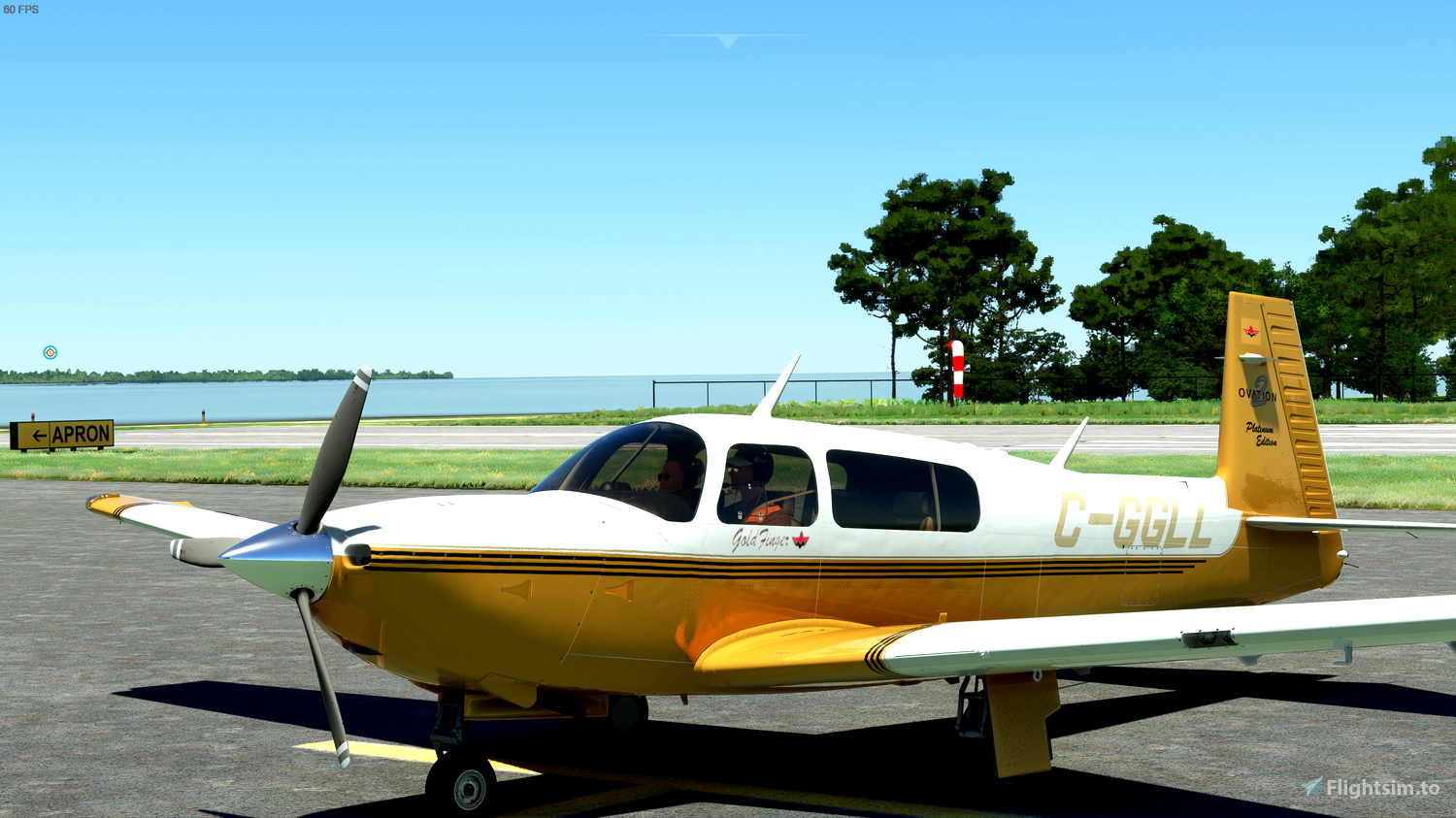 Mooney Liveries for Microsoft Flight Simulator | MSFS | Flightsim.to