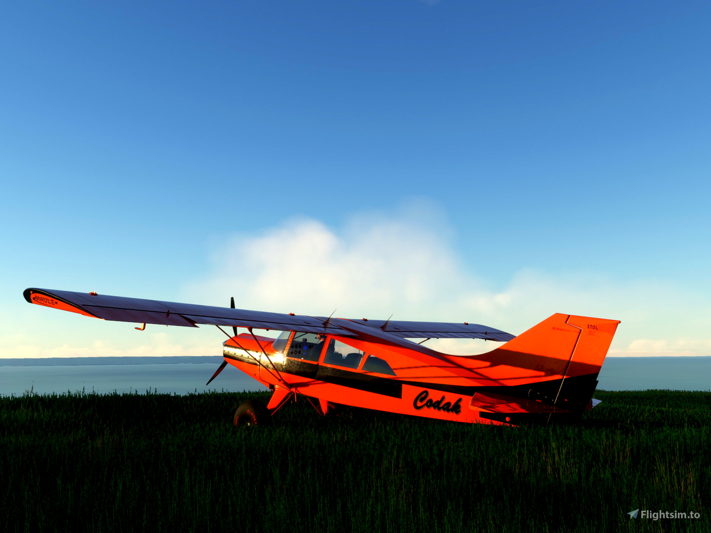 Pilot Experience Sim "Maule M7-235" "Codak" Livery for Microsoft Flight ...