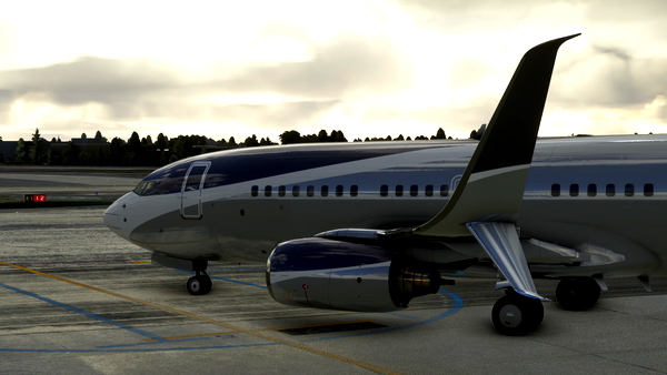 The Emperor Penguin PMDG 737-700 BBJ (N934GU / Fictional) for Microsoft ...