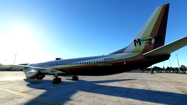 PMDG Boeing 737-900 - Gold Virtual Airlines - 10 Years for Microsoft ...