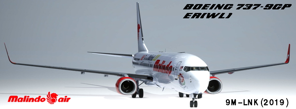 PMDG Boeing 737-900 - Gold Virtual Airlines - 10 Years for Microsoft ...