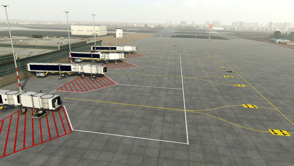 KJFK RLLS/LDIN Approach Lights for Canarsie/Parkway Visual pour ...