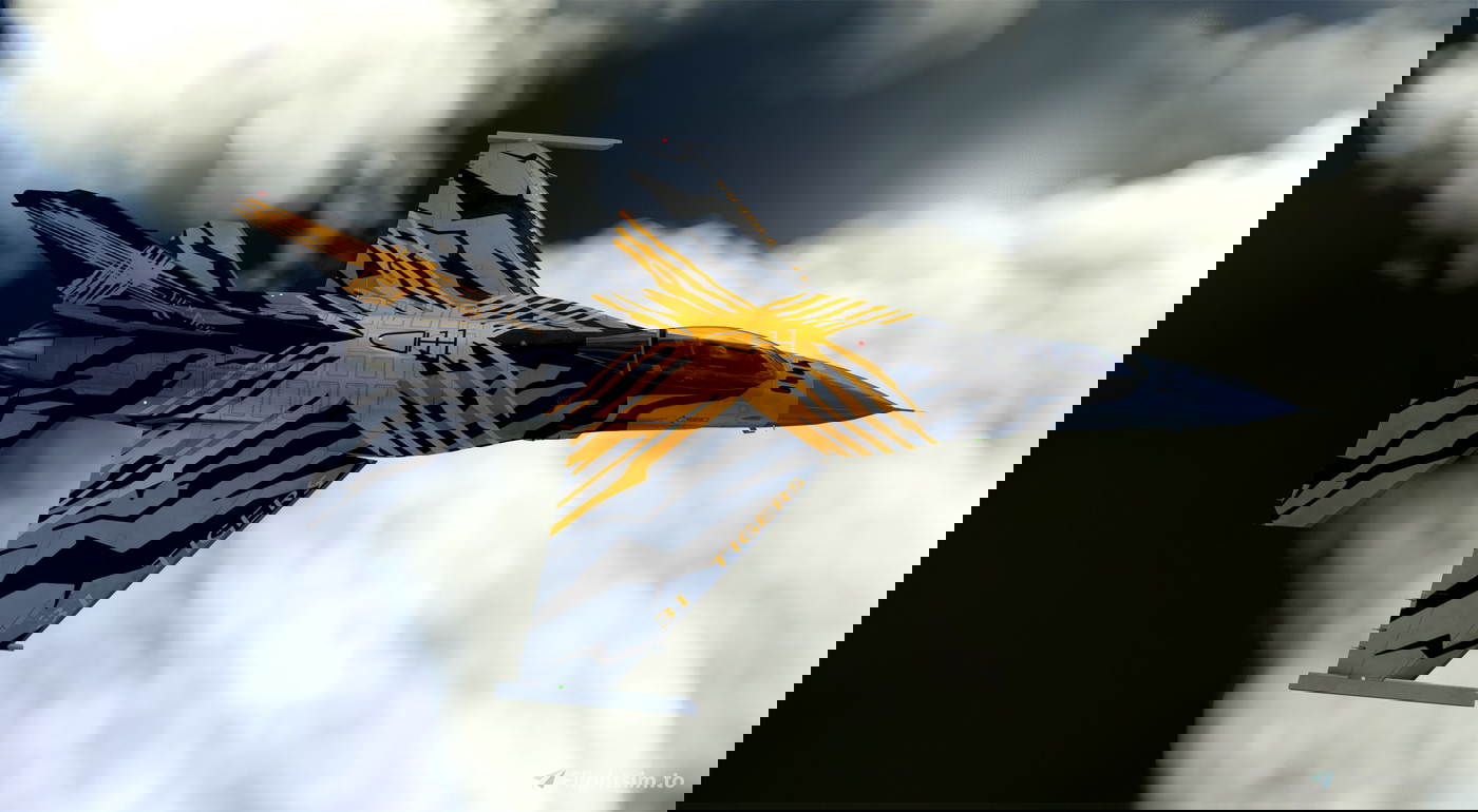 2021 XTM X-Tiger livery for Microsoft Flight Simulator | MSFS