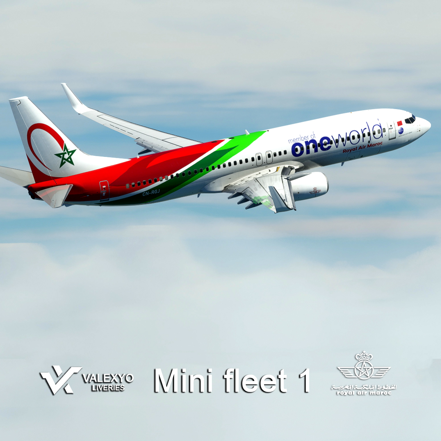 PMDG Boeing 737-800 Liveries for Microsoft Flight Simulator | MSFS ...
