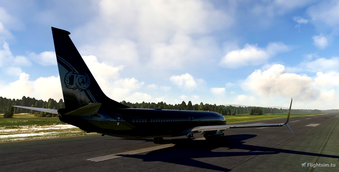 737-800 BBJ2 ChaseAir [Fictional] TitanWing Livery [Titanium] 对于 ...