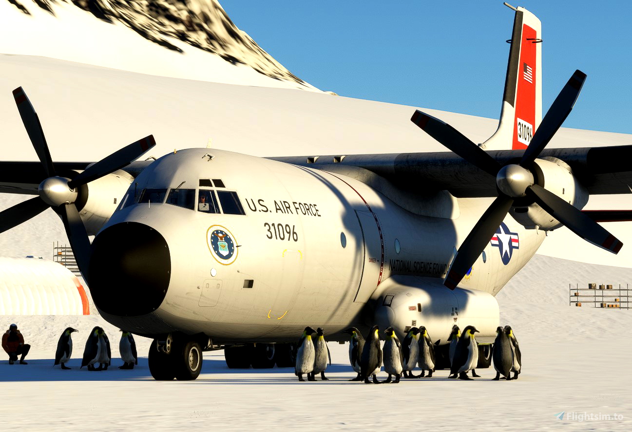 Liveries - Transall C-160 Add-Ons for Microsoft Flight Simulator ...