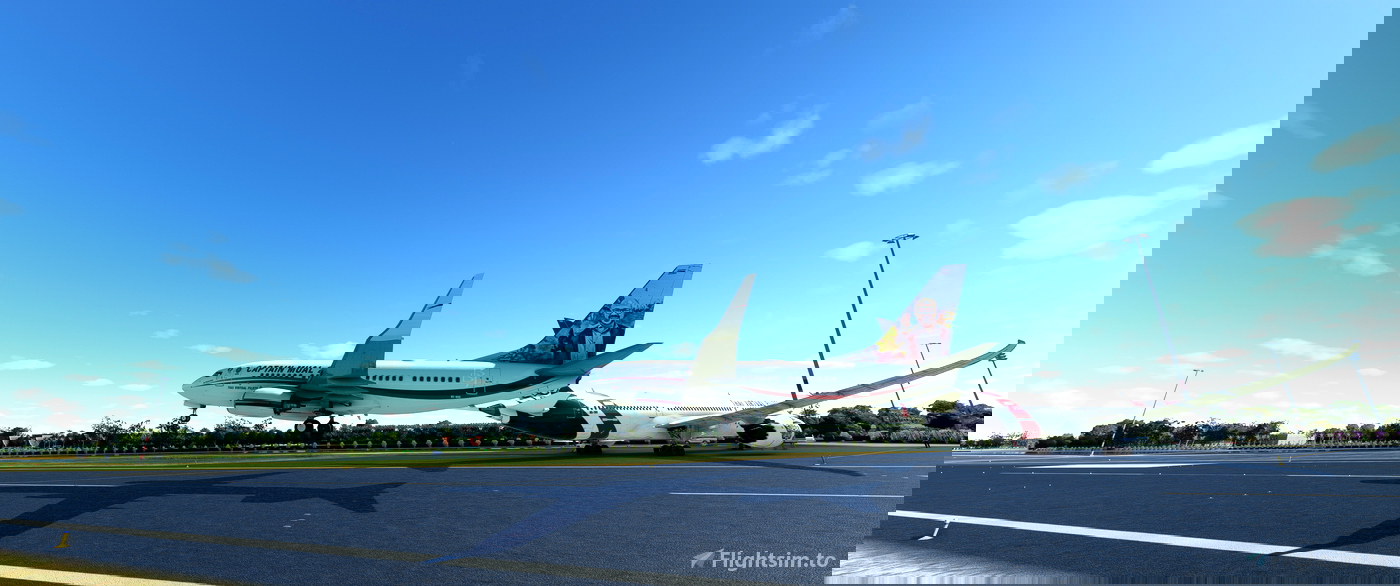 ฺBusiness Jet 737BBJ Captain Mual 2027 for Microsoft Flight Simulator ...