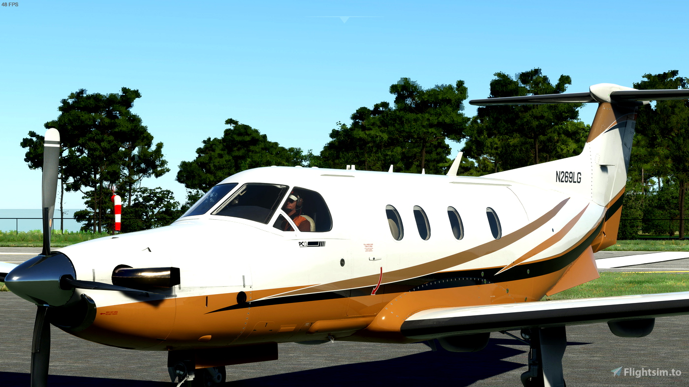 Carenado Pilatus PC-12 N269LG for Microsoft Flight Simulator | MSFS