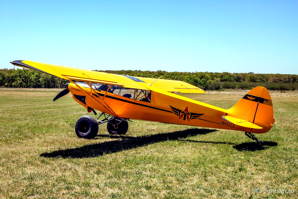 Cub Crafter X-Cub Liveries for Microsoft Flight Simulator | MSFS ...