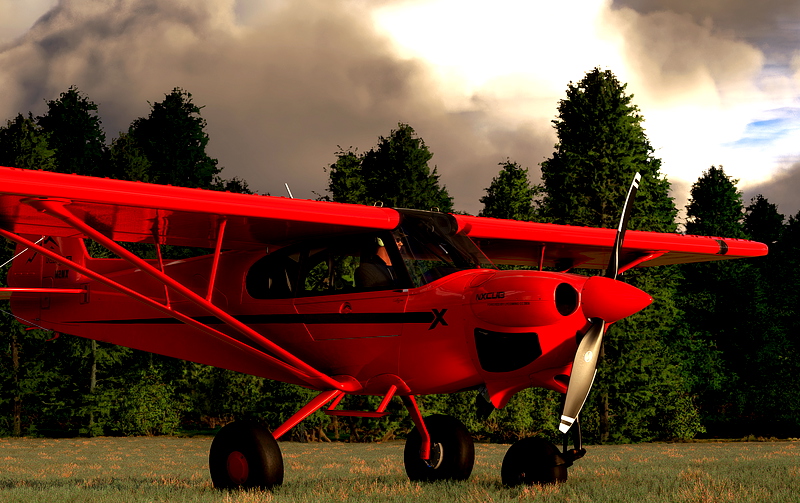 Cub Crafters NXCub with US registration N2NX for Microsoft Flight ...