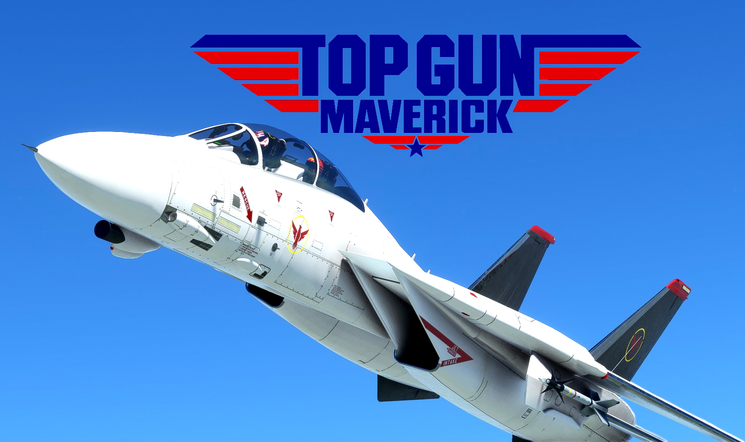 DC Designs F-14 Liveries for Microsoft Flight Simulator | MSFS ...