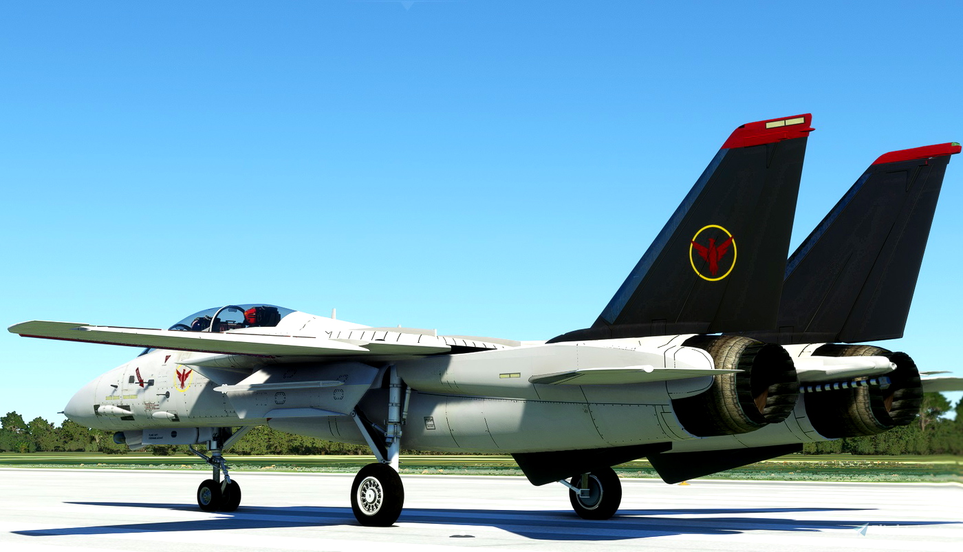 DC Designs F-14A Top Gun Maverick "Phoenix" for Microsoft Flight ...