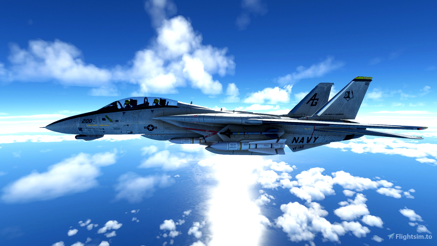 DC Designs F-14D Super Tomcat / VF-142 Fictional for Microsoft Flight ...