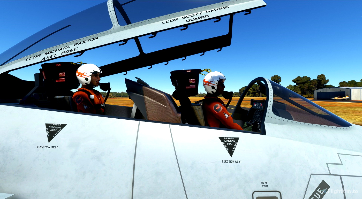 DCD F-14A Tomcat VF-114 Aardvarks 1990. USS Abraham Lincoln. for ...