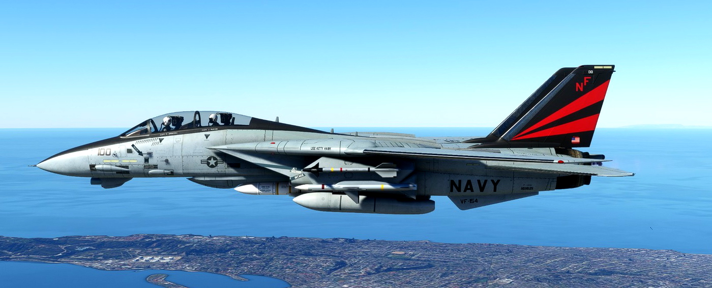 DCD F-14A Tomcat VF-154 Black Knights CAG Bird. for Microsoft Flight ...