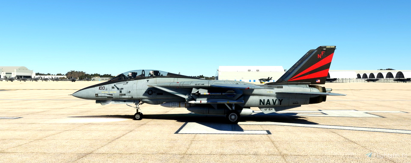 DCD F-14A Tomcat VF-154 Black Knights CAG Bird. for Microsoft Flight ...