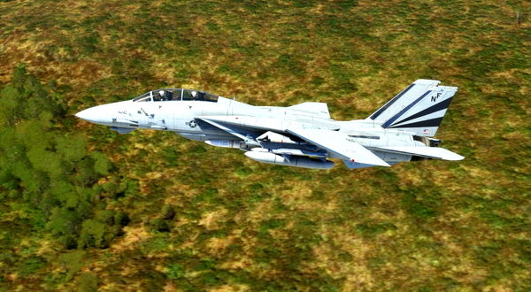 DCD F-14A Tomcat VF-154 Black Knights CAG Bird. for Microsoft Flight ...