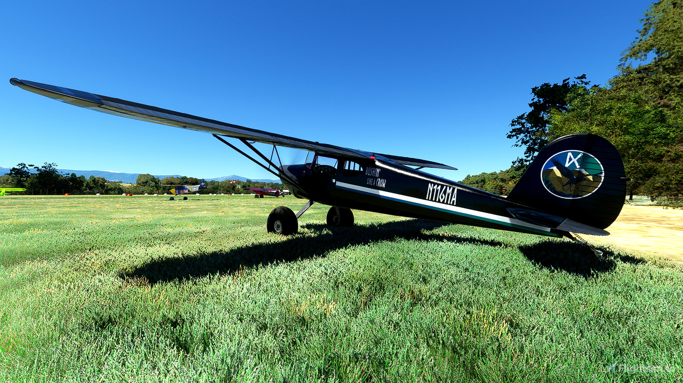 Deathcrow's Cessna 140 ( Work in progress) for Microsoft Flight ...