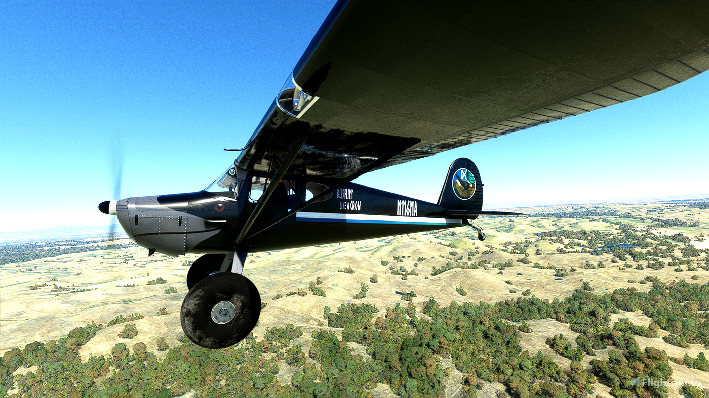 Deathcrow's Cessna 140 ( Work in progress) for Microsoft Flight ...