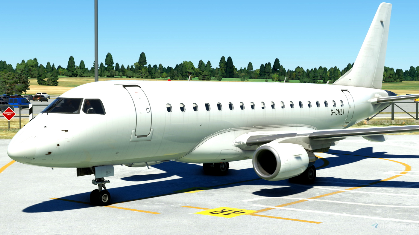 Eastern Airways Pack for FSS E170 (G-CMLI & G-CMPI) for Microsoft ...