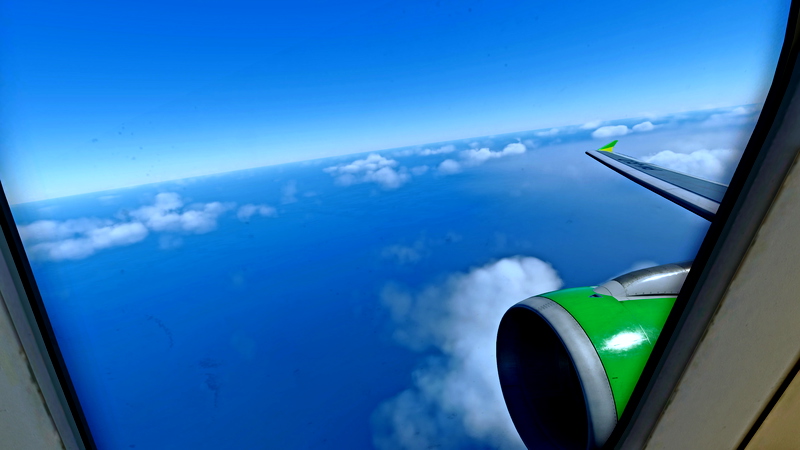Fenix A320 Custom Wing Views for Microsoft Flight Simulator | MSFS