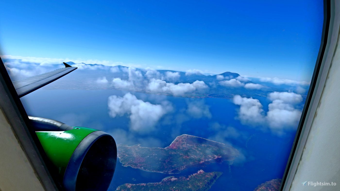 Fenix A320 Custom Wing Views for Microsoft Flight Simulator | MSFS