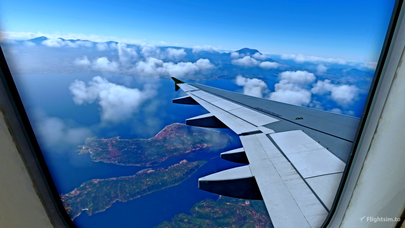 Fenix A320 Custom Wing Views for Microsoft Flight Simulator | MSFS