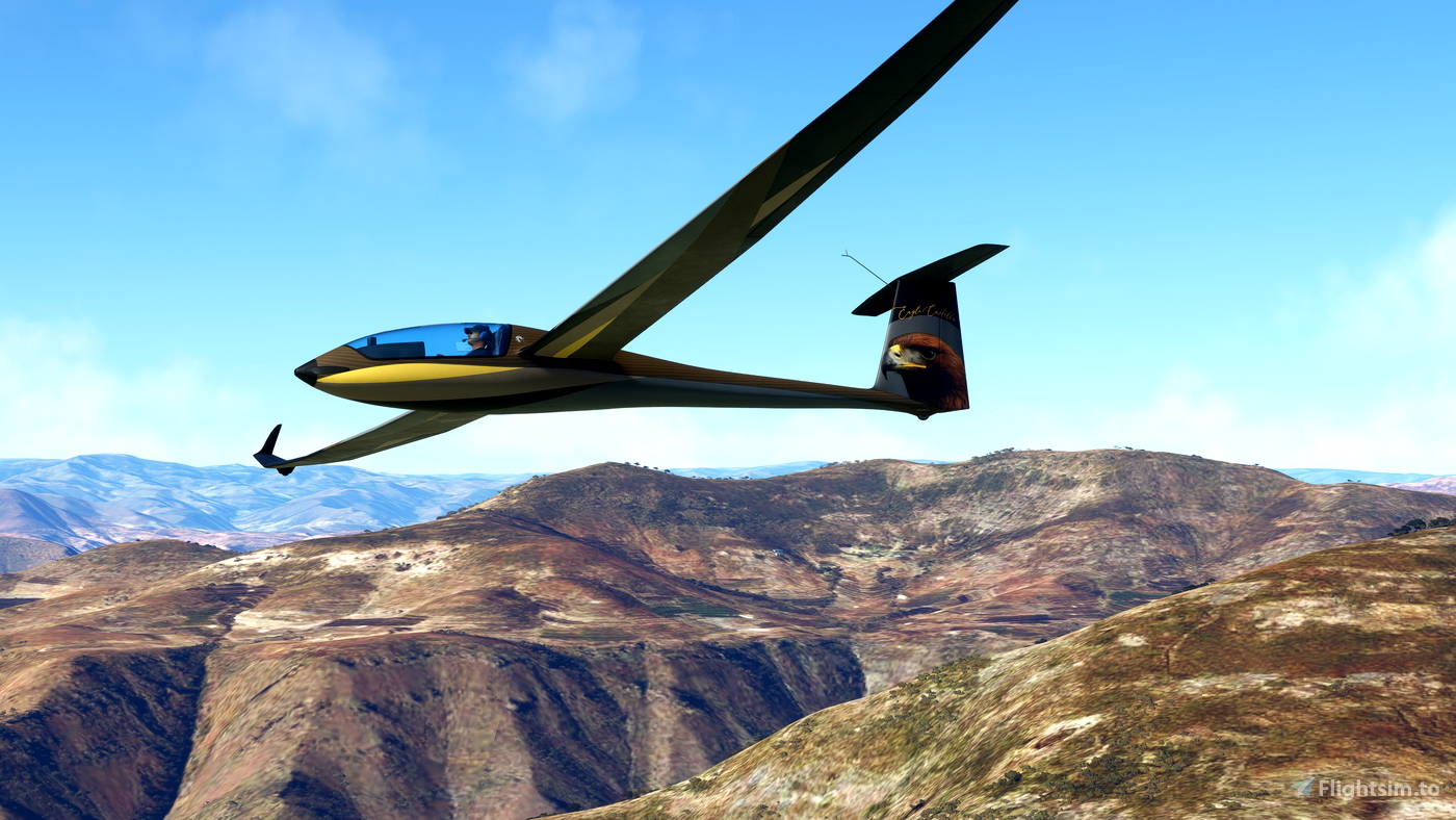Got Friends Discus 2c FES Livery: Eagle Castella for Microsoft Flight ...