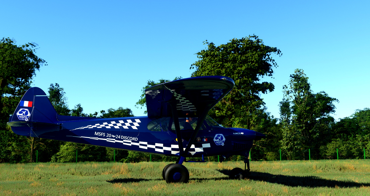 Liveries - CubCrafters NX Cub Add-Ons for Microsoft Flight Simulator ...