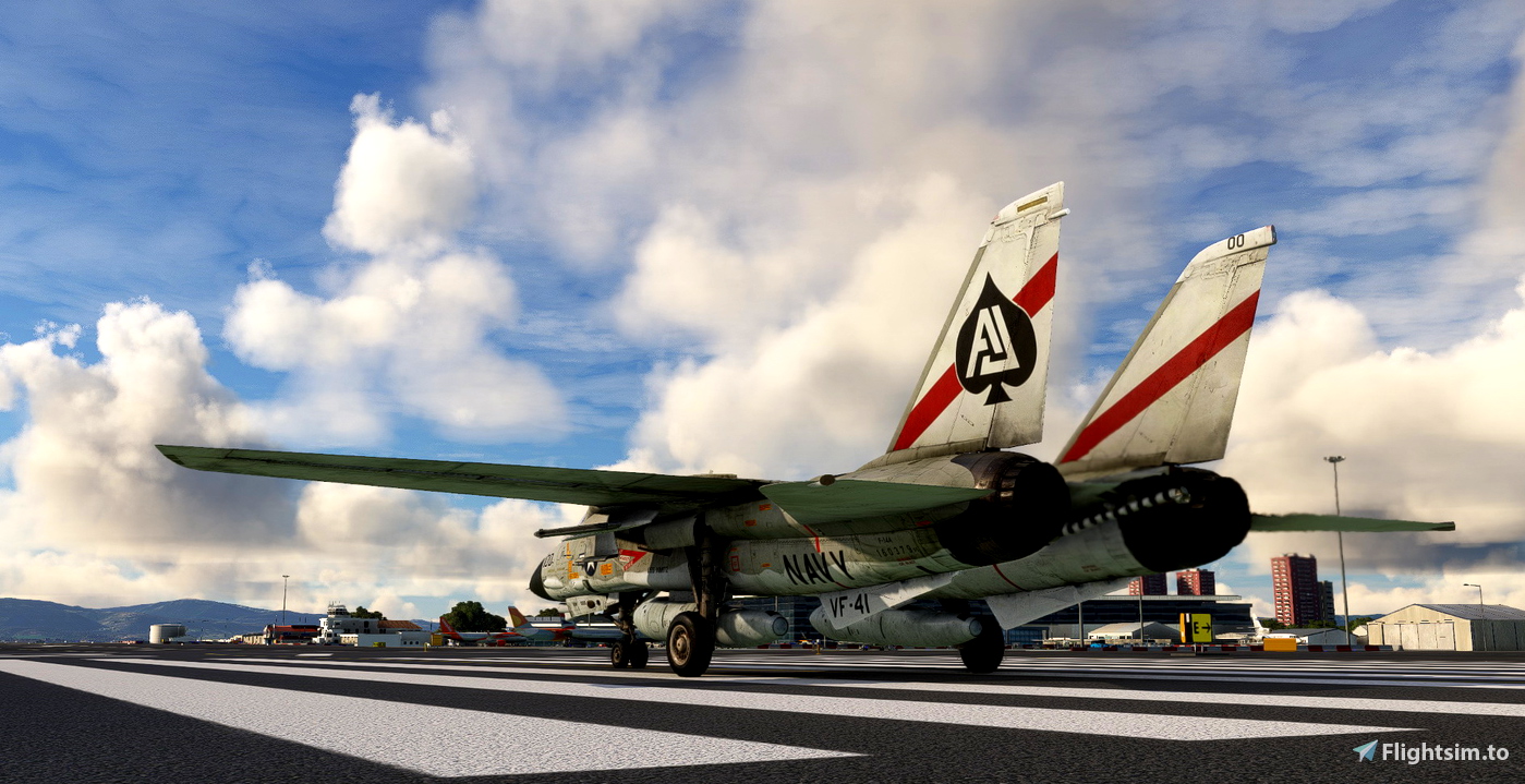 Grumman F-14 Tomcat VF-41 #100 1977 para Microsoft Flight Simulator | MSFS