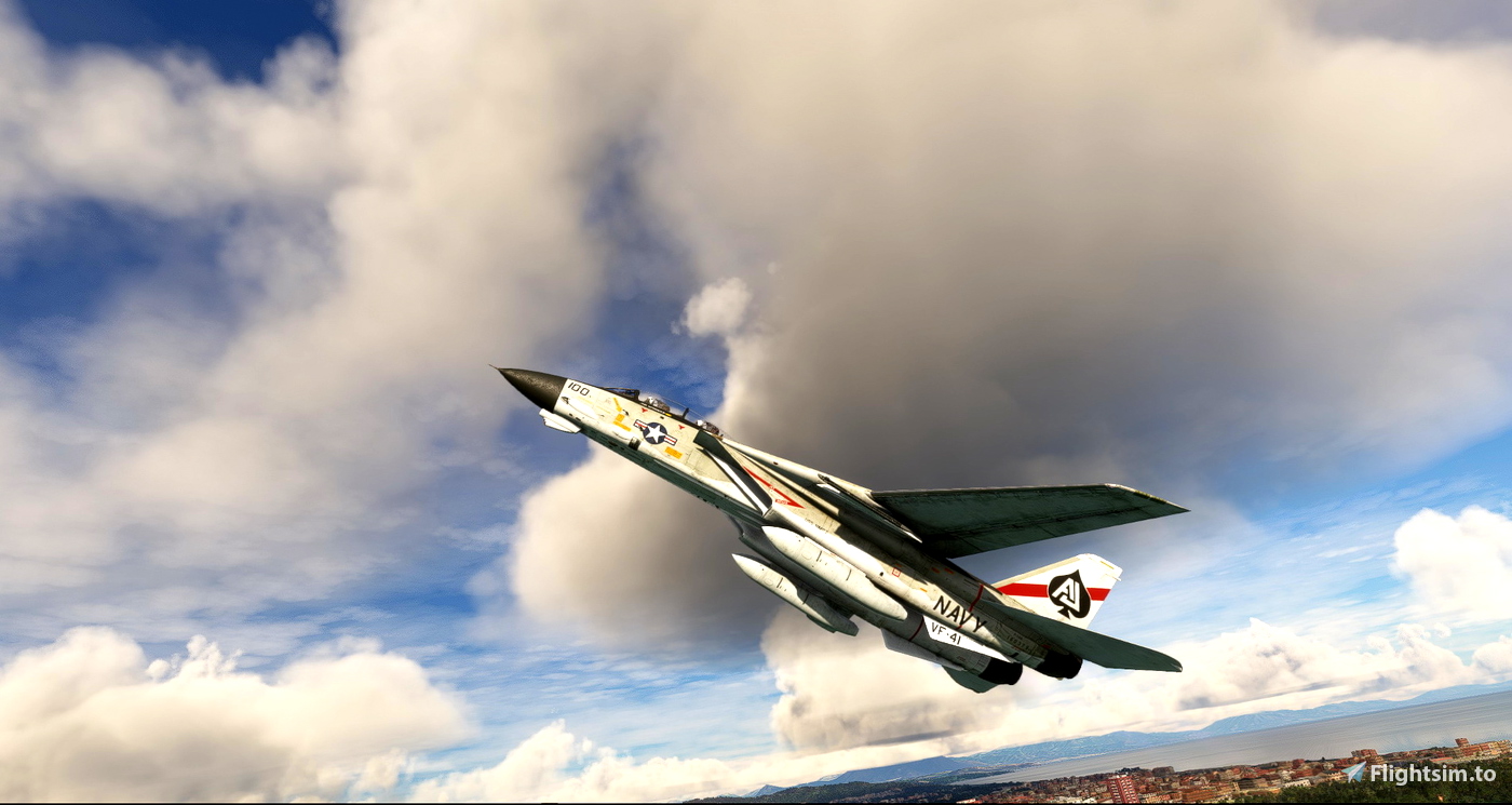 Grumman F-14 Tomcat VF-41 #100 1977 para Microsoft Flight Simulator | MSFS