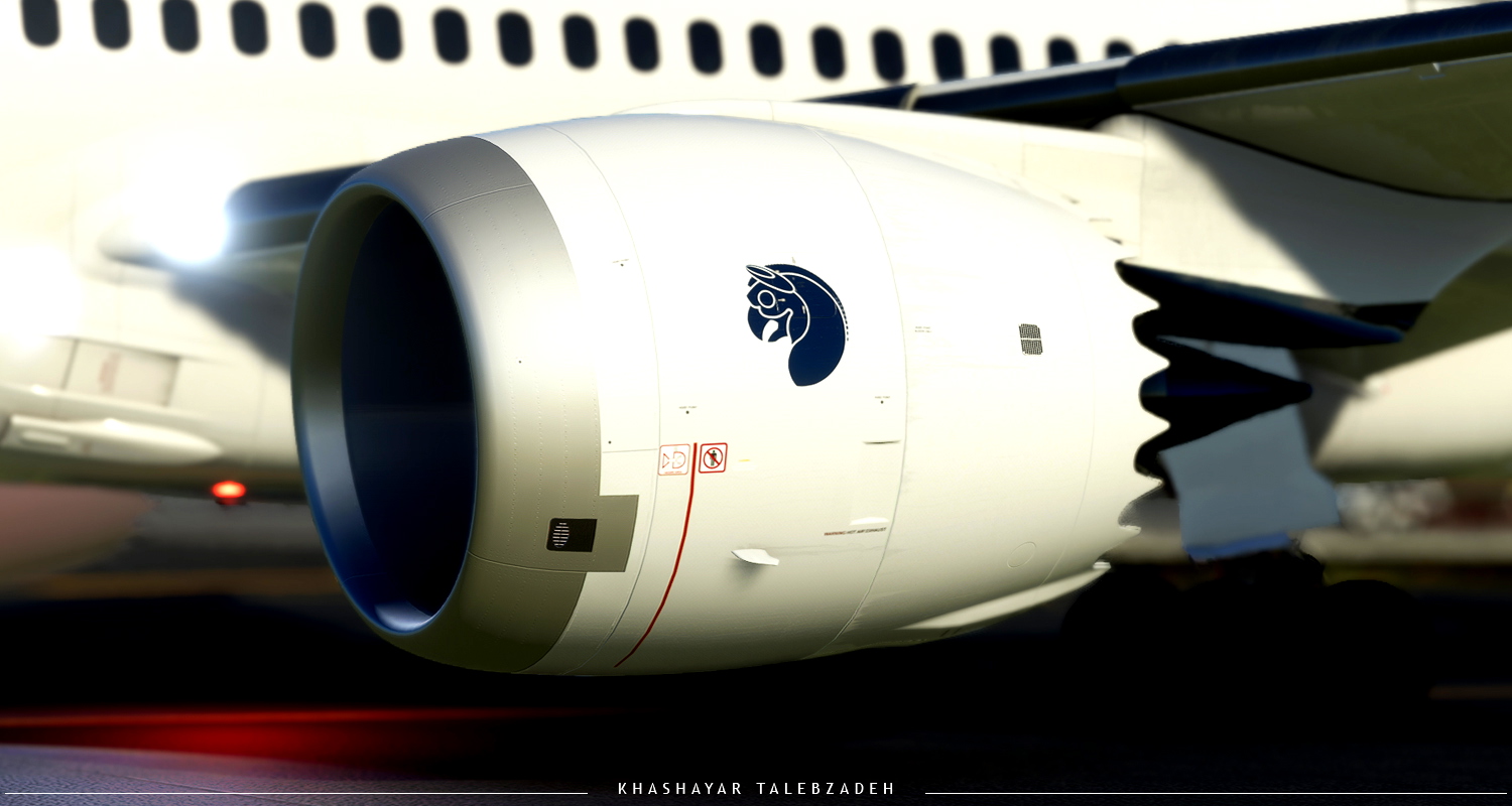 Liveries - Horizon Simulations Boeing 787-9 Add-Ons for Microsoft ...